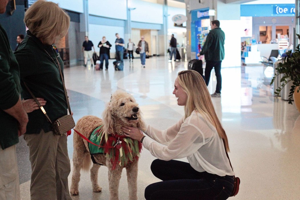 No more RUFF layovers: Airport Therapy Dogs In California (UPDATE 2019 ...