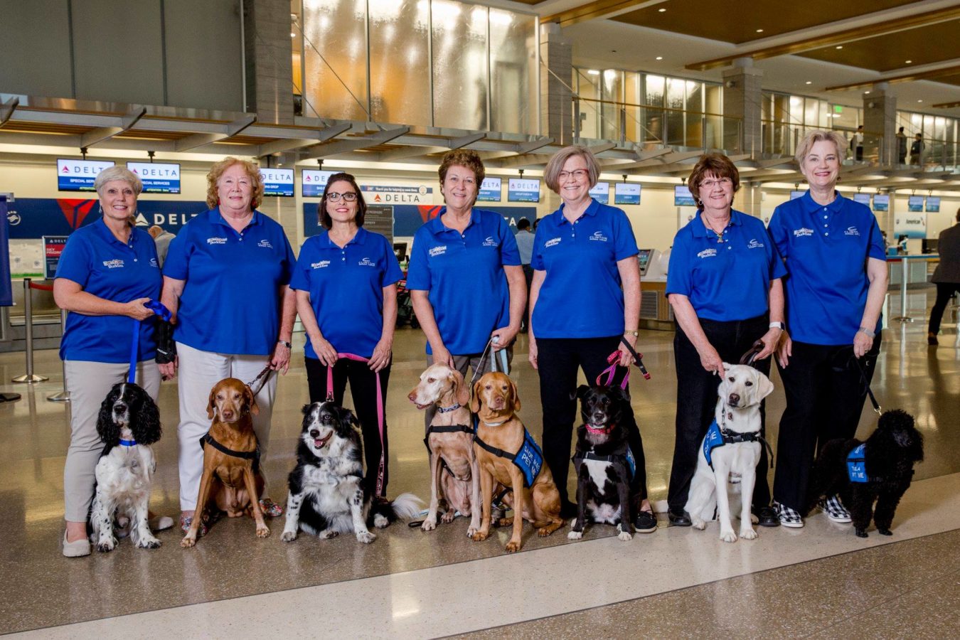 New Airport Therapy Dogs Programs Thant Launched In USA 2018
