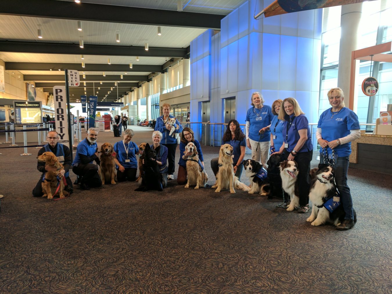 New Airport Therapy Dogs Programs Thant Launched In USA 2018