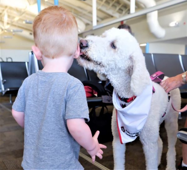 London International Airport Has Therapy Dogs Visit Once A Month